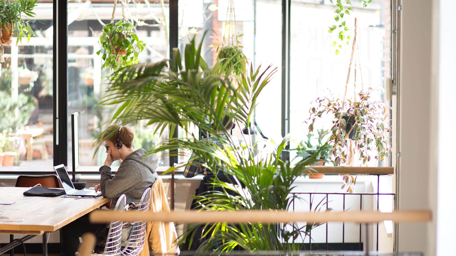 Sustainability Work Life